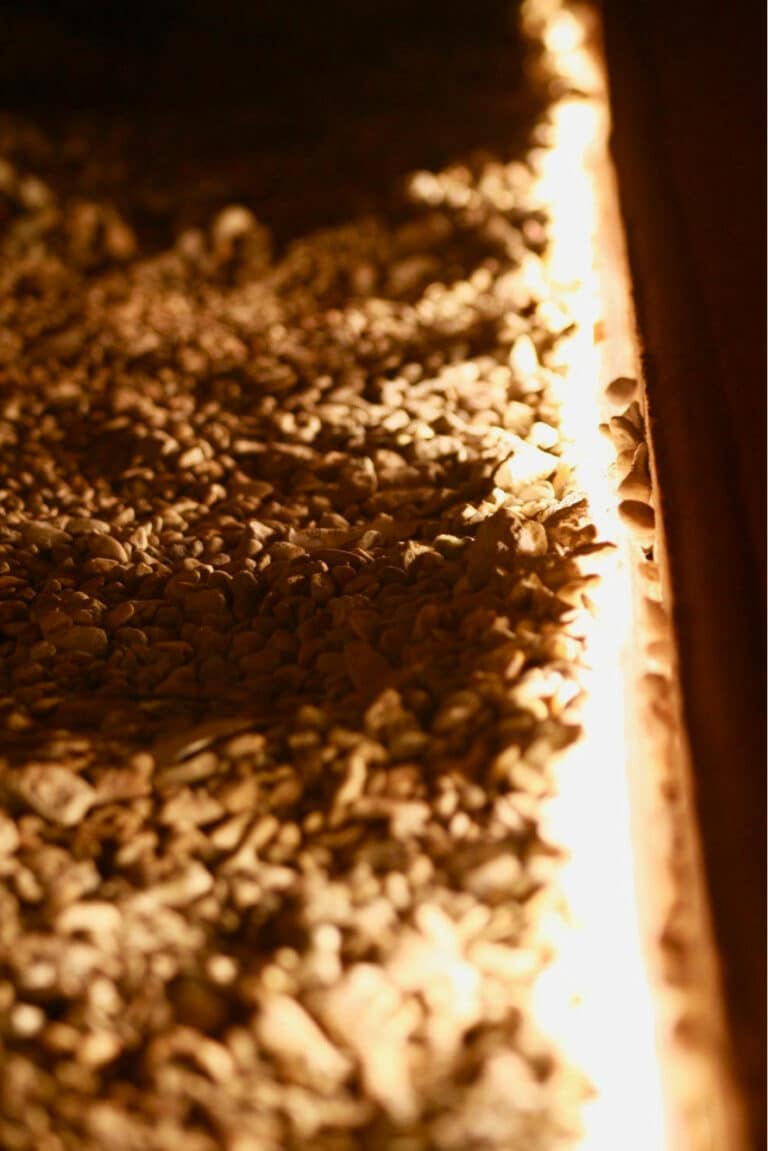 Contact - Domaine THOMAS-COLLARDOT