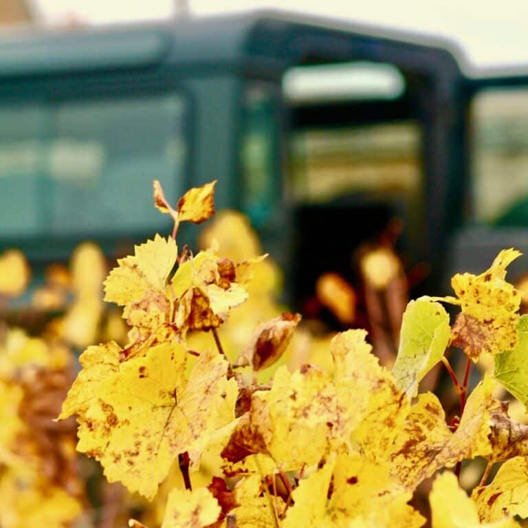 Contact - Domaine THOMAS-COLLARDOT